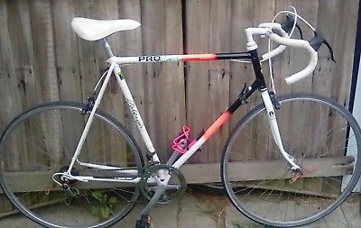 Raleigh Pro Race 23.5″ Large Retro Road Racing Bike Vintage 501 Steel ...