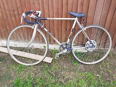 Vintage 1982 Large Men’s Raleigh Winner 10 Road Racing Bike – Second ...