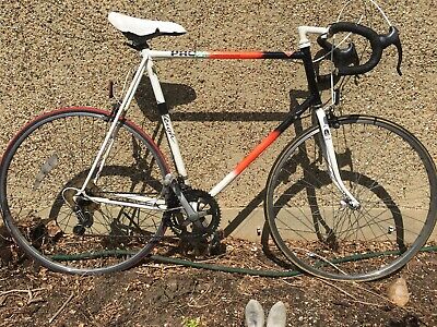 Raleigh Reynolds 501 Vintage Steel Pro Race Retro Mens Road Bike 25 ...