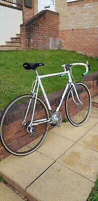 Vintage Racing Road Bike Raleigh Reynolds Elan 501 Hand-built And Rare ...