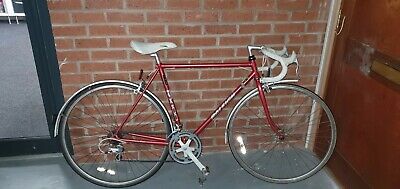 Raleigh Pro Race 1980s/1990s Road Bike, Reynolds 501, 14 Speed Gear ...