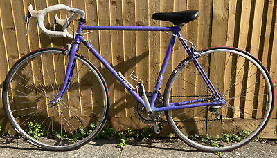 Vintage Raleigh Elan Racing Road Bike Reynolds 501 21” Frame – Second ...