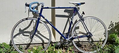 Vintage Raleigh Triathlon Criterium 12 Road Racing Bike Reynolds 501 ...
