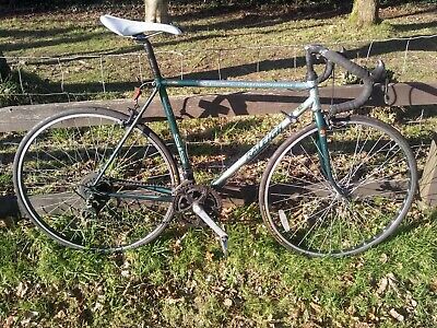 Men’s 1980s Raleigh Pro Race Road Bike (made In Nottingham/reynolds 501 ...