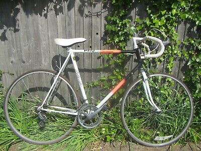 Vintage Raleigh Pro Race ‘reynolds 501’ Road Racing Bike – 23″ Frame ...