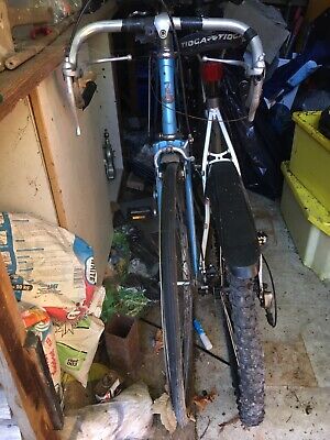 Blue Raleigh Arena Men’s Road Racing Bike – Steel Frame, Restoration ...