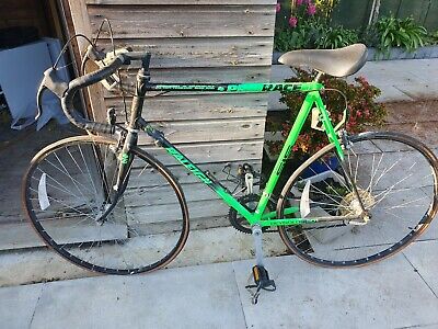 Vintage 80s Raleigh Pro-race Road Bike Reynolds 501 Steel Original Gc ...