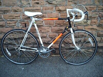 Raleigh Pro Race Xl Road Bike Racer Reyolds 501 Xl – Second Hand Road Bikes