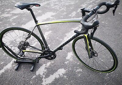 Specialized Roubaix Sl4 Carbon Shimano Ultegra Disc Road Racing Bike